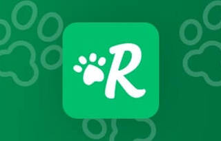 Rover dog community online marketplace